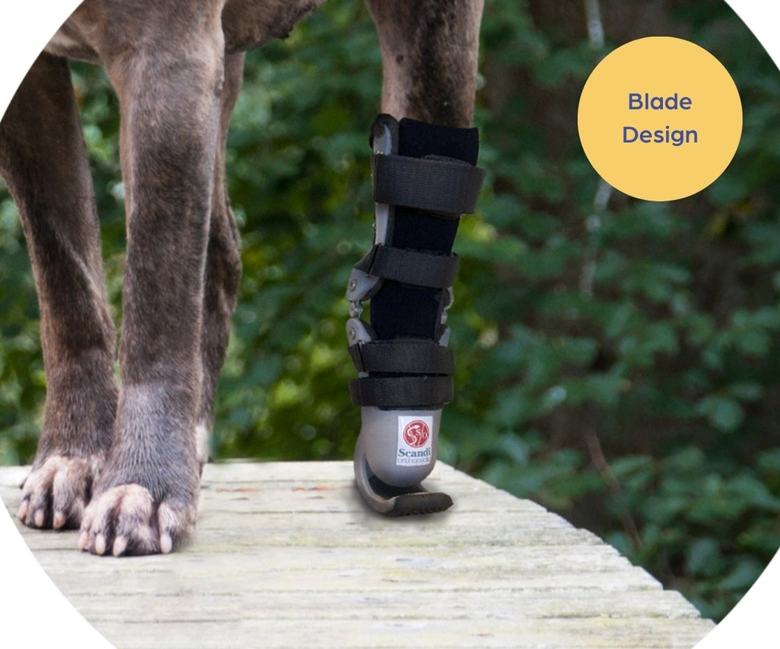 Dog Prosthetic Front or Back Paw / Leg - Blade or Classic Design — ZOOMADOG
