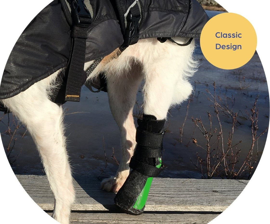 Scandi Orthopedic Splints & Products in the UK — ZOOMADOG