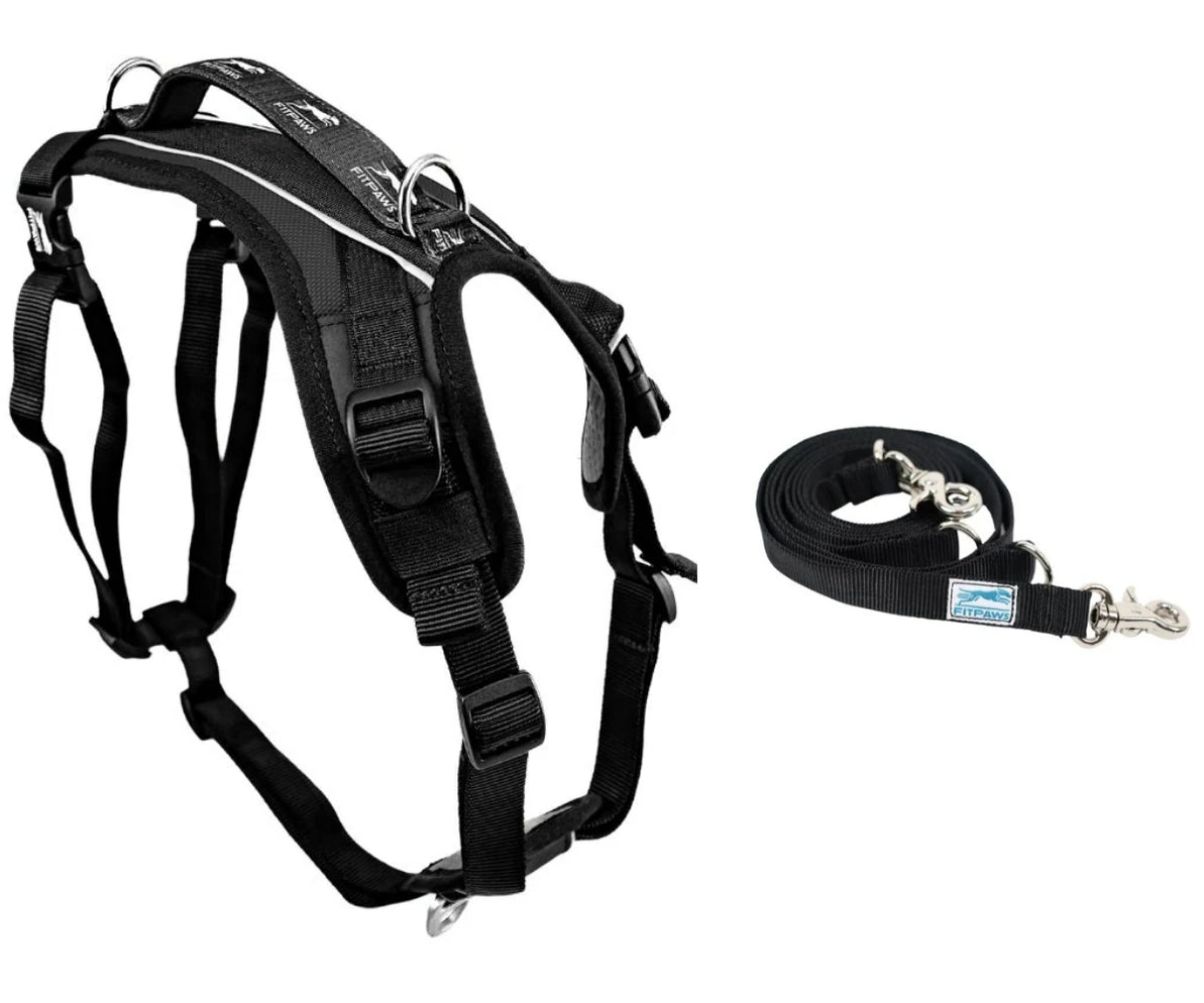 Made to Move Front Harness and Lead For Dogs - A Helpful Companion For ...