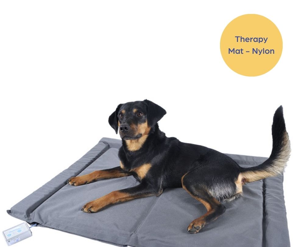 Pulse Electromagnetic Field (PEMF) Therapy for Dogs made by Respond An ...