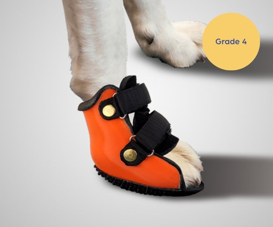 Scandi Orthopedic Dog Front or Back Boot Splint - Grade 4 (front or ba ...
