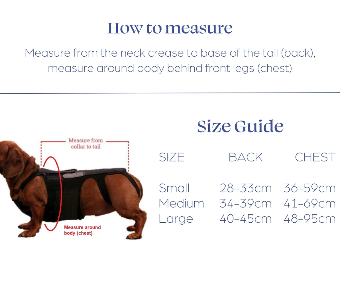L'il Back Bracer Heated Back Brace for Dogs - Therapeutic Heat for Bac ...
