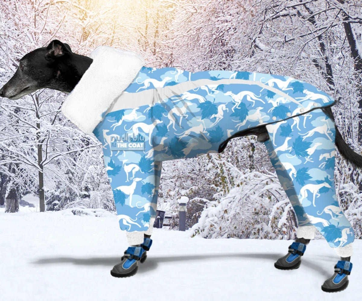 Hunnyboots Blue 'Nudleblu' Greyhound Winter Coat - Keep Your Greyhound ...