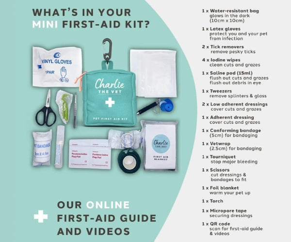 Charlie The Vet Mini First Aid Kit - Compact Emergency Care for Dogs ...