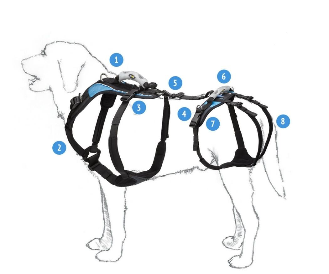 Help Em Up Harness - The Complete Dog Lifting Harness — ZOOMADOG