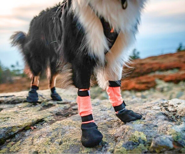 Non-Stop Dogwear High Protector Dog Boots - Heavy Duty Paw Protection ...
