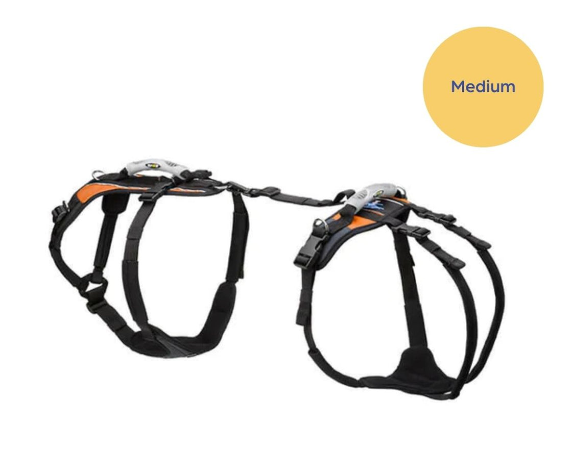 Help Em Up Harness - The Complete Dog Lifting Harness — ZOOMADOG
