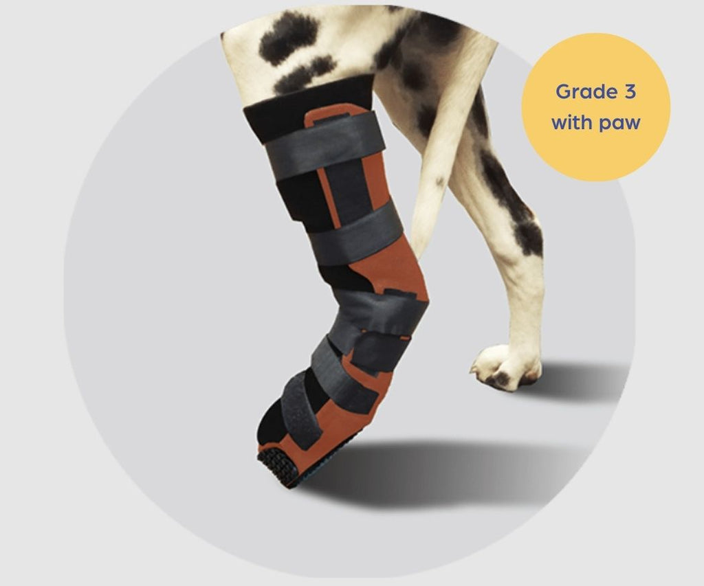 Scandi Orthopedic Splints & Products in the UK — ZOOMADOG
