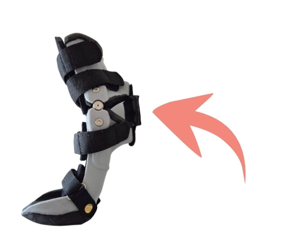 Scandi Orthopedic Stop Band for Grade 4 Splints — ZOOMADOG