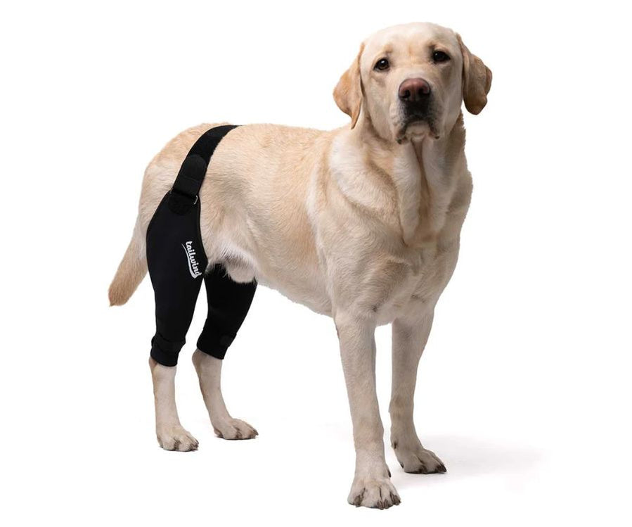 Tailwindpets Cruciate Dog Knee Brace and Harness — ZOOMADOG