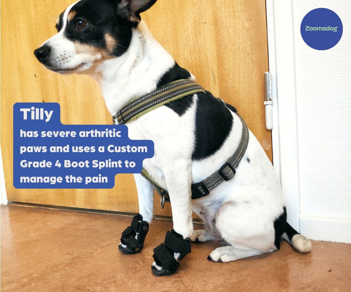 Scandi Orthopedic Dog Front or Back Boot Splint - Grade 4 (front or ba ...