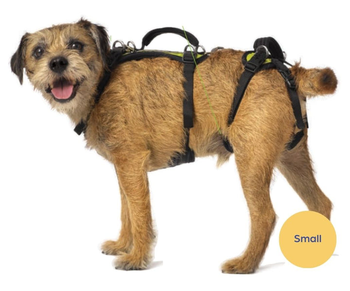 Help Em Up Harness - The Complete Dog Lifting Harness — ZOOMADOG