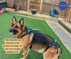 Help Em Up Harness - The Complete Dog Lifting Harness — ZOOMADOG