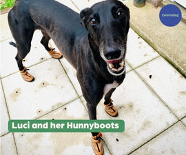 Hunnyboots - Set of Two Greyhound Boots V4 — ZOOMADOG