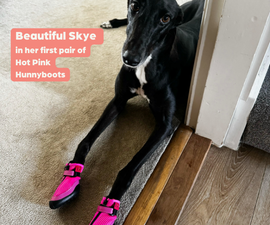 Hunnyboots - Set of Two Greyhound Boots V4 — ZOOMADOG