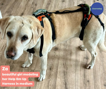 Help Em Up Harness - The Complete Dog Lifting Harness — ZOOMADOG