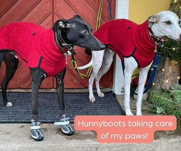 Hunnyboots - Set of Two Greyhound Boots V4 — ZOOMADOG