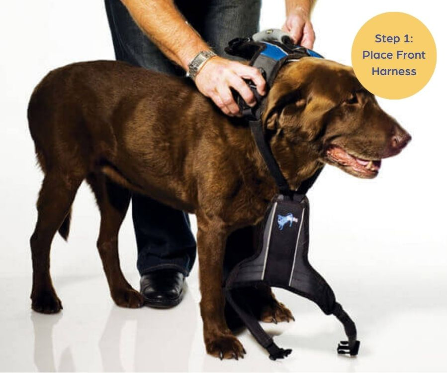 Help Em Up Harness - The Complete Dog Lifting Harness — ZOOMADOG