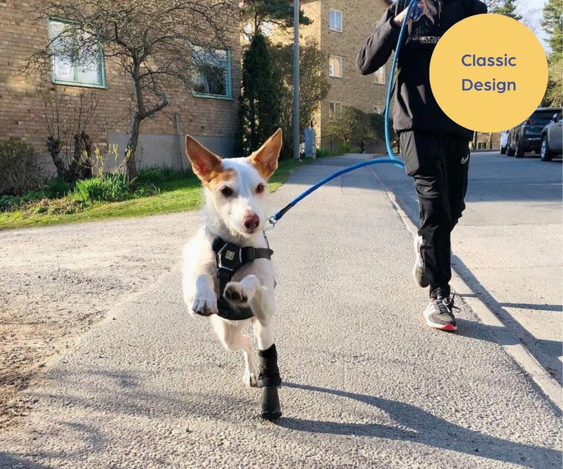 Dog Prosthetic Front or Back Paw / Leg - Blade or Classic Design — ZOOMADOG