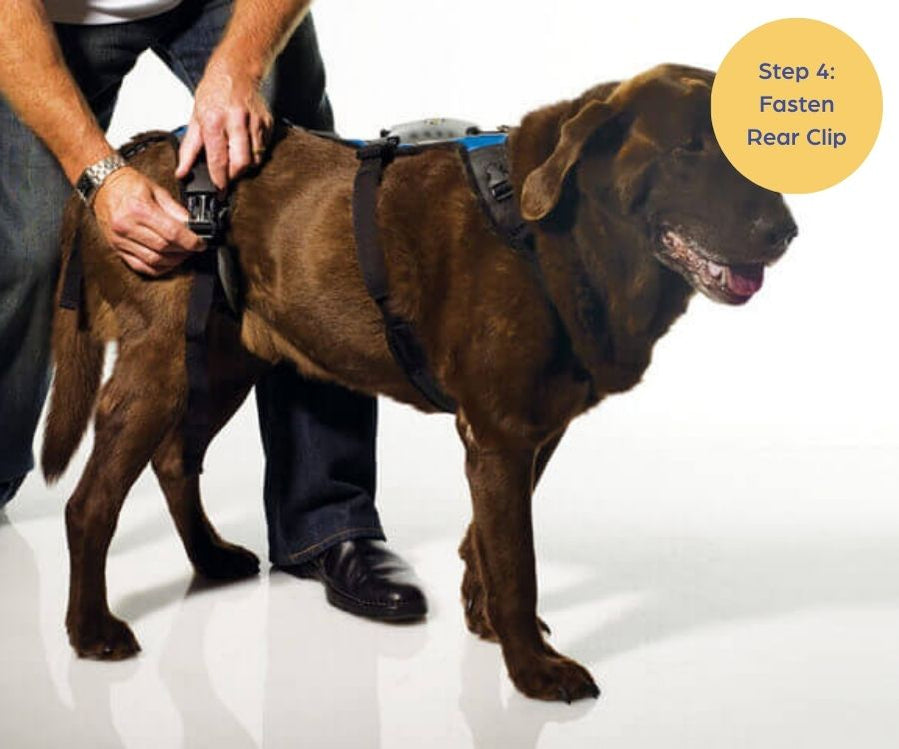 Help Em Up Harness - The Complete Dog Lifting Harness — ZOOMADOG