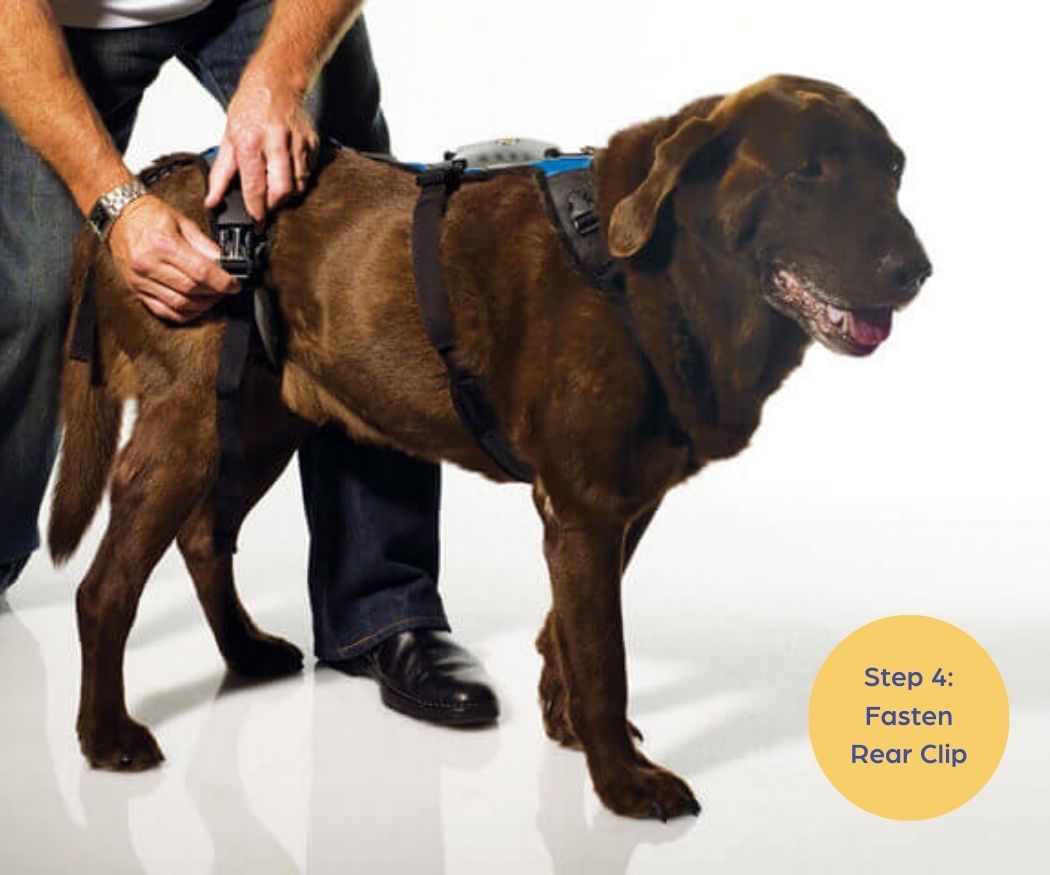 Help Em Up Harness - The Complete Dog Lifting Harness — ZOOMADOG