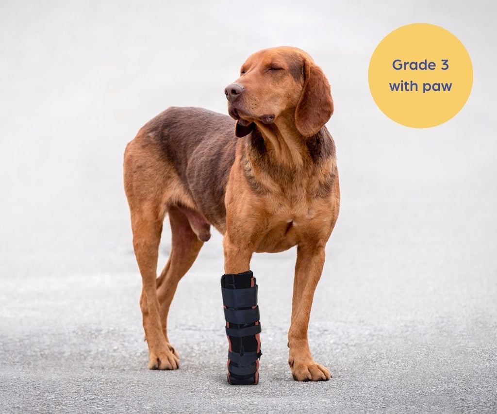 Scandi Orthopedic Splints & Products in the UK — ZOOMADOG