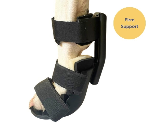 *NEW* Short Front Leg Dog Splint by Zoomadog - Ideal for Front Leg Inj ...