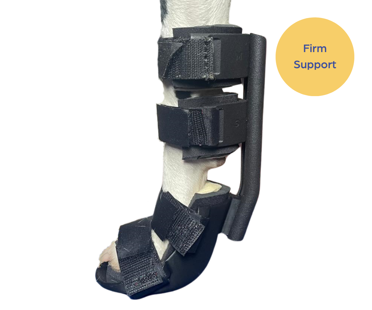 *NEW* Ultimate Full Front Leg Dog Splint by Zoomadog - Immobilises & S ...