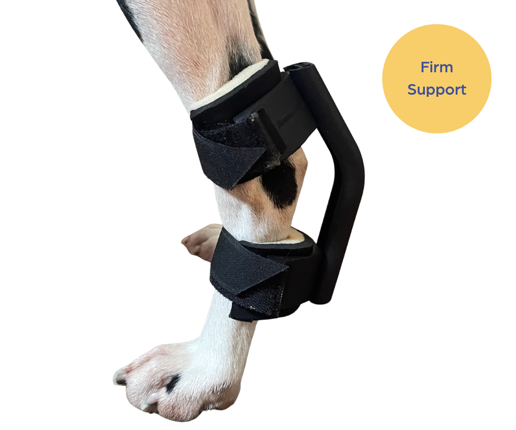 Best Rear Leg Dog Supports, Wraps & Splints — ZOOMADOG