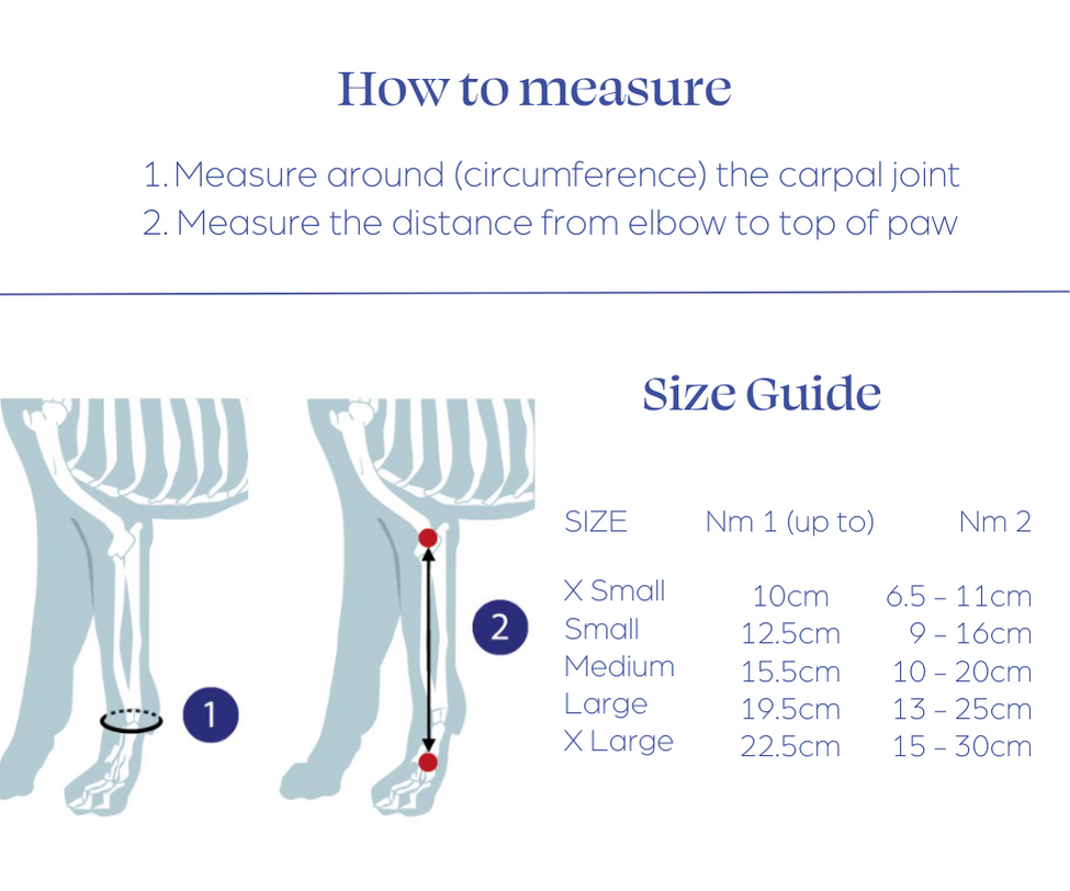 Scandi Orthopedic Dog Carpal Front Wrap - Grade 1 (light) — ZOOMADOG