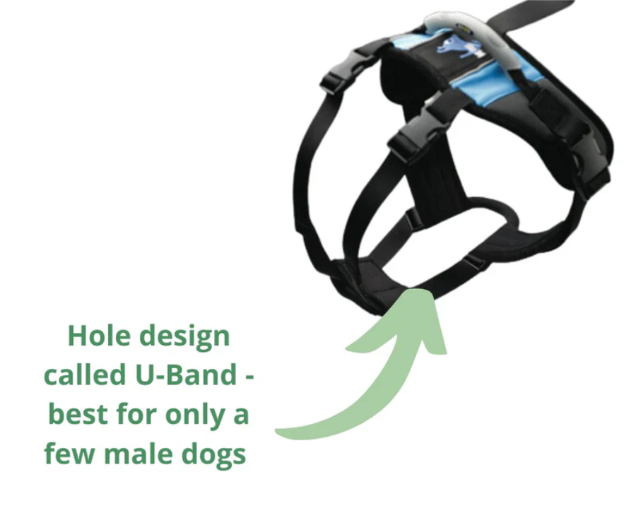 Help Em Up U-Band Rear Harness Only — ZOOMADOG