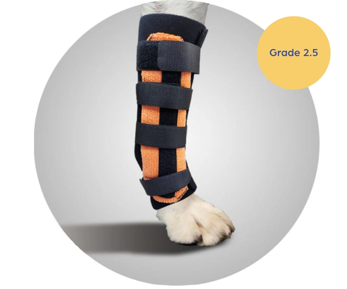 Scandi Orthopedic Dog Carpal Front Splint - Grade 2.5 (moderate) — ZOOMADOG