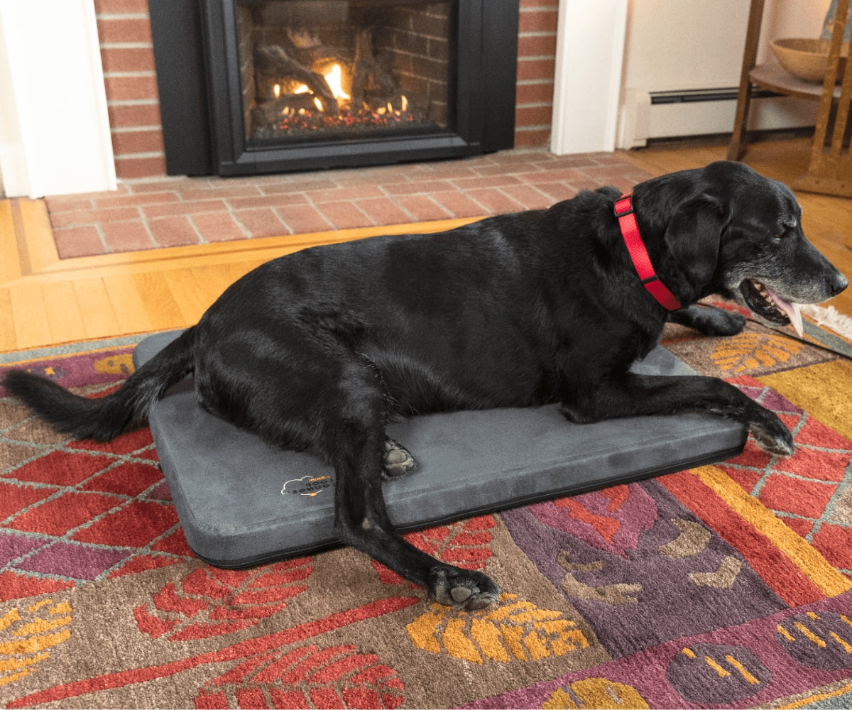 Assisi LOOP Lounge - PEMF treatment for Total Body Pain & Inflammation ...