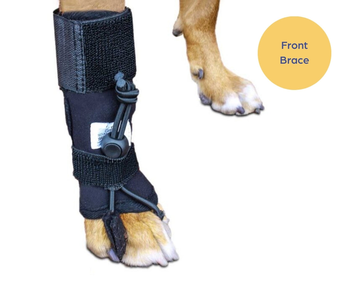 Walkabout Dog Knuckling Protection Boots (single boot) — ZOOMADOG