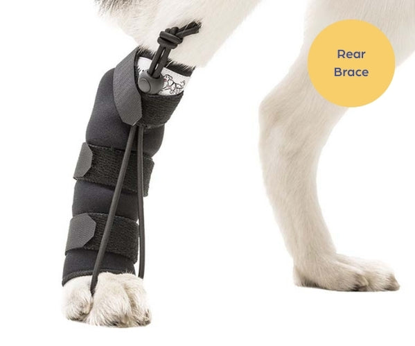 Best Dog Boots, Socks and Paw Knuckling — ZOOMADOG