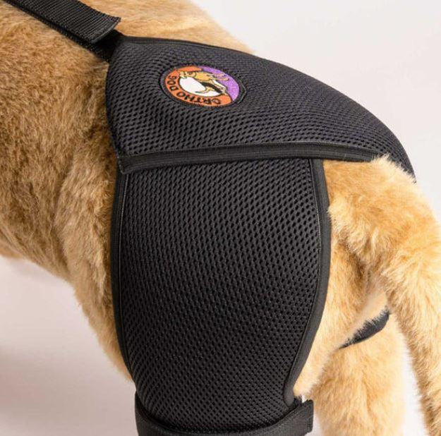 Orthodog Dog Hip Brace — ZOOMADOG