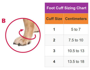 Biko Physio Dog Brace (Nerve Damage or CDRM) — ZOOMADOG