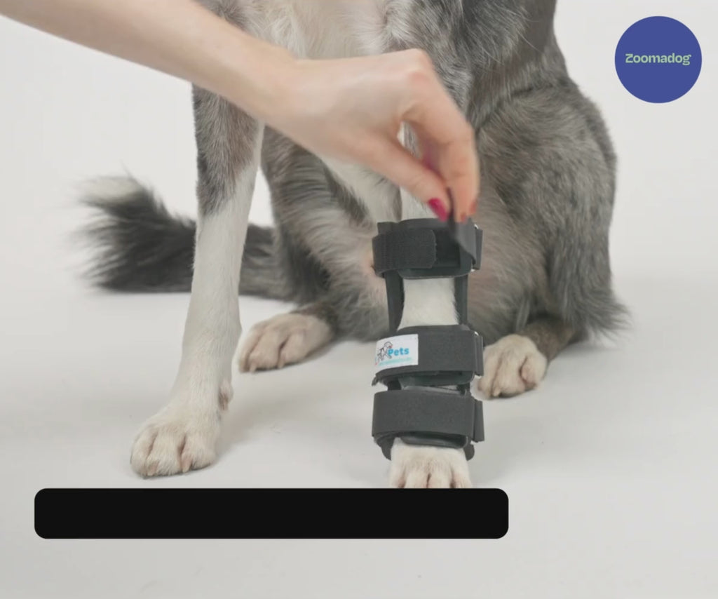Best Dog Leg Supports, Wraps & Splints — ZOOMADOG