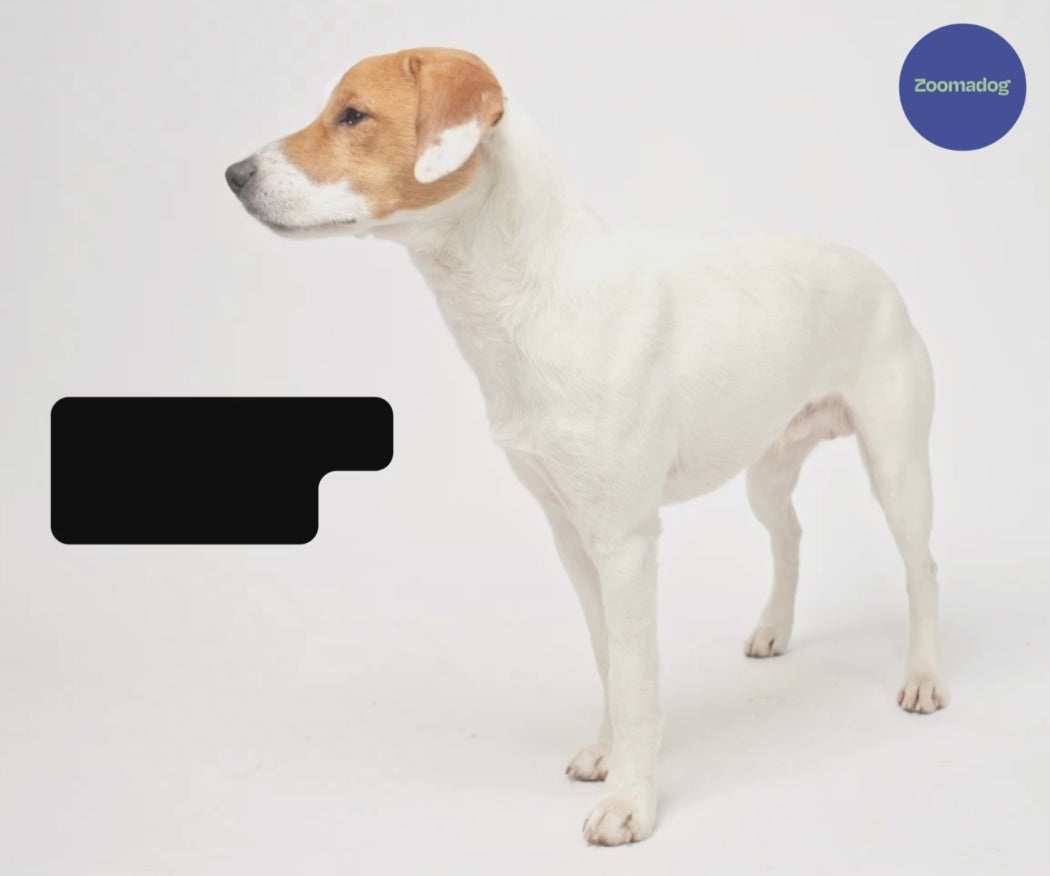 Therapaw Protective Dog Boot (Single Boot) - Extra Thick Sole — ZOOMADOG