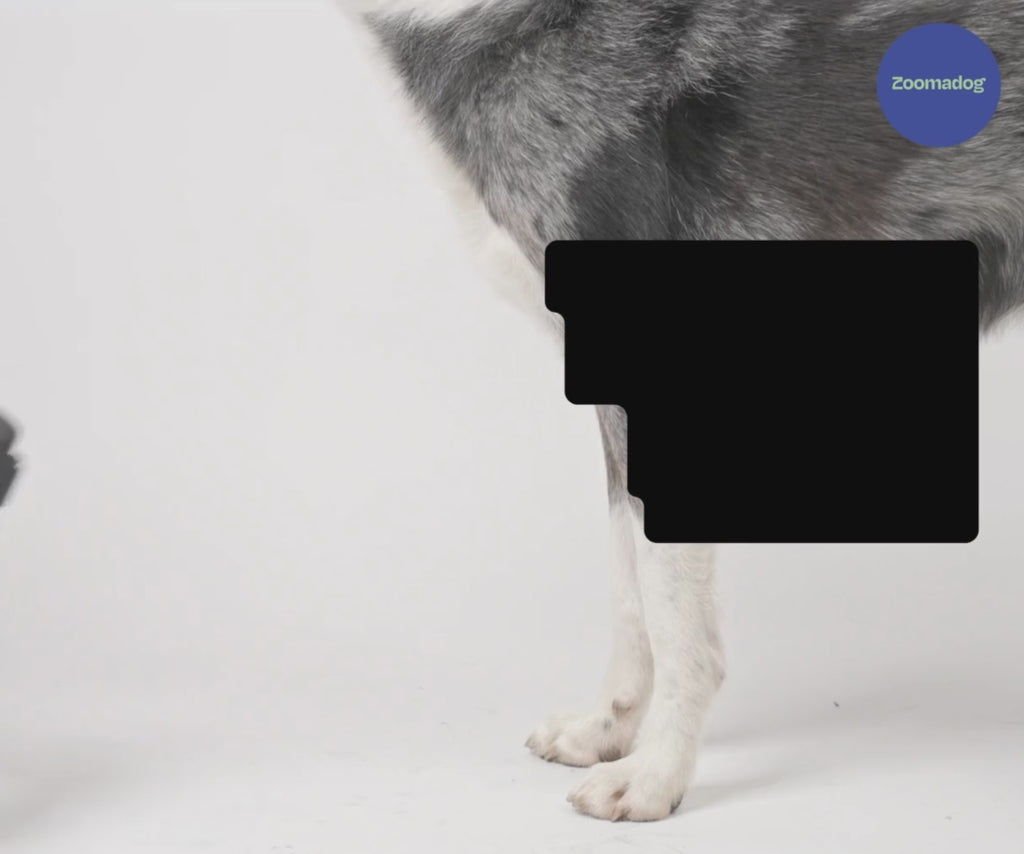 Walkabout Dog Knuckling Protection Boots (single boot) — ZOOMADOG